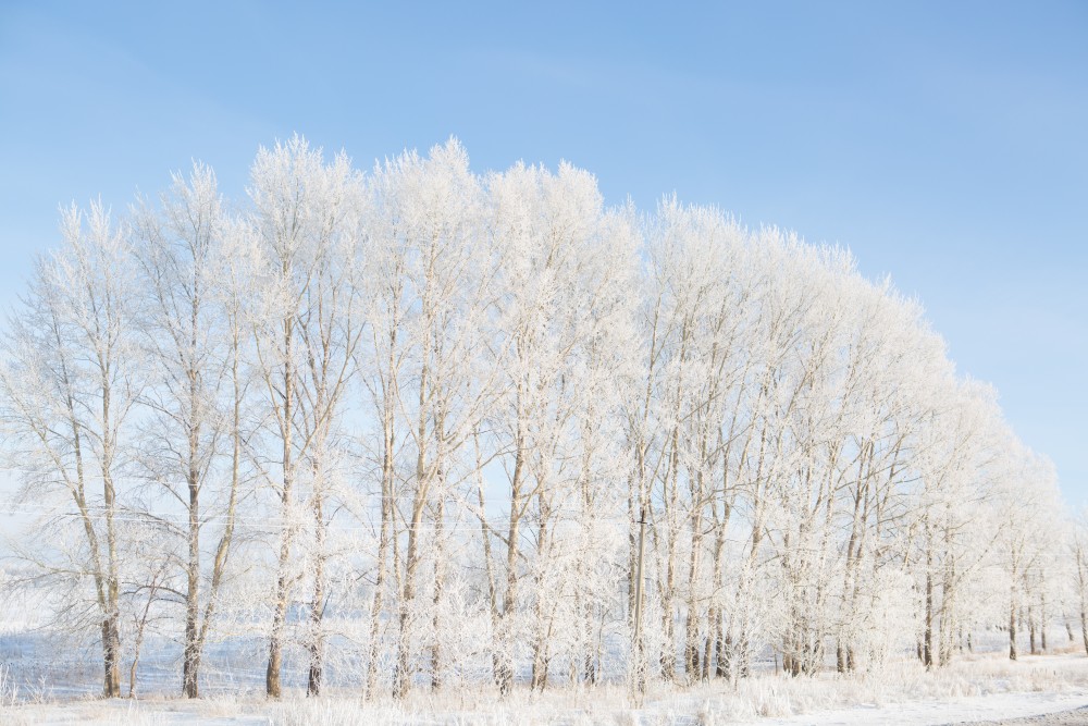 Gritting & Snow Clearance – AP Broome Landscapes